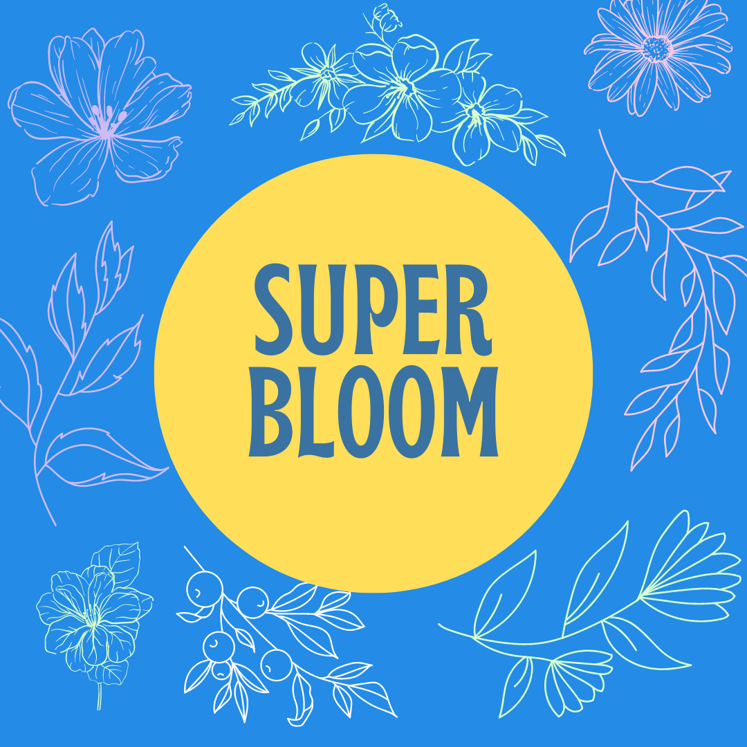 Super Bloom - Morongo Basin Cultural Arts Council