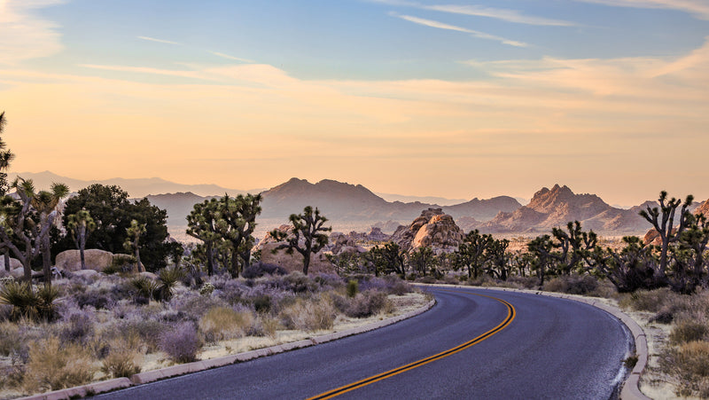 MBCAC | Featuring the artists of the Morongo Basin